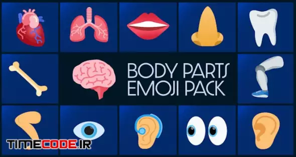 دانلود پروژه آماده افتر افکت : آیکون انیمیشن بدن انسان Human Body Parts ...