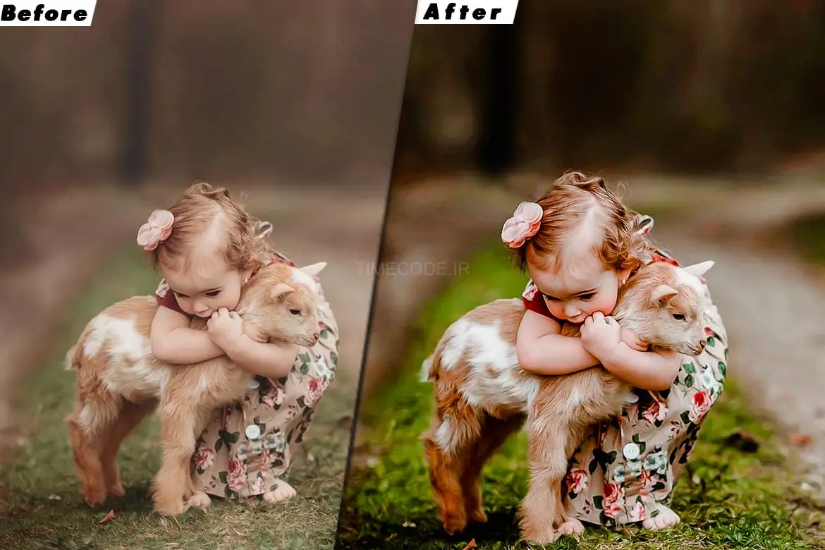 اکشن فتوشاپ و پریست لایت روم عکاسی چهره + LUT HDR Life Style Presets And Luts Video Premiere Pro ...